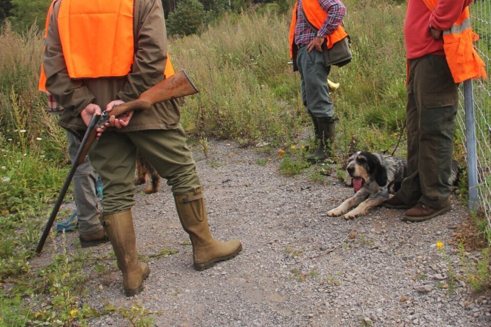 Chasse et nouvelles lois : ce qui va changer en 2026